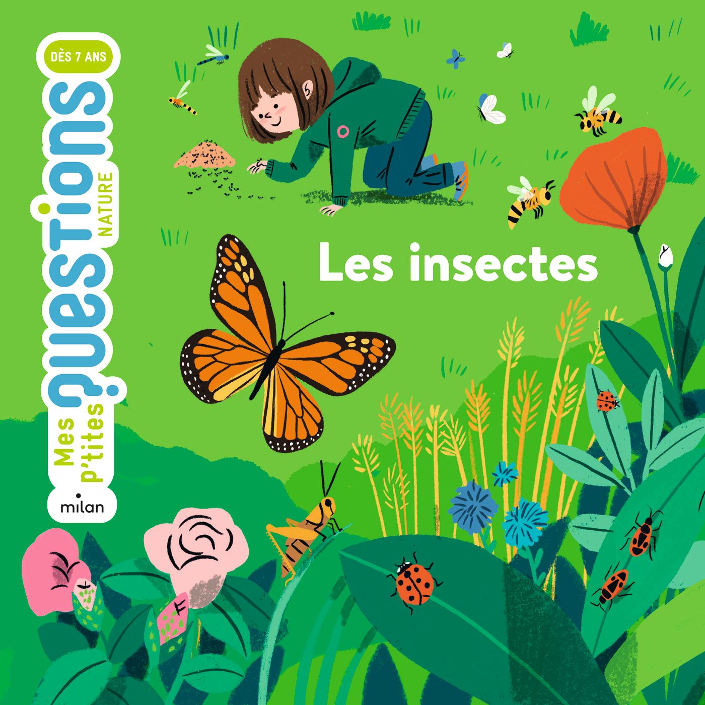 Les insectes - Editions Milan