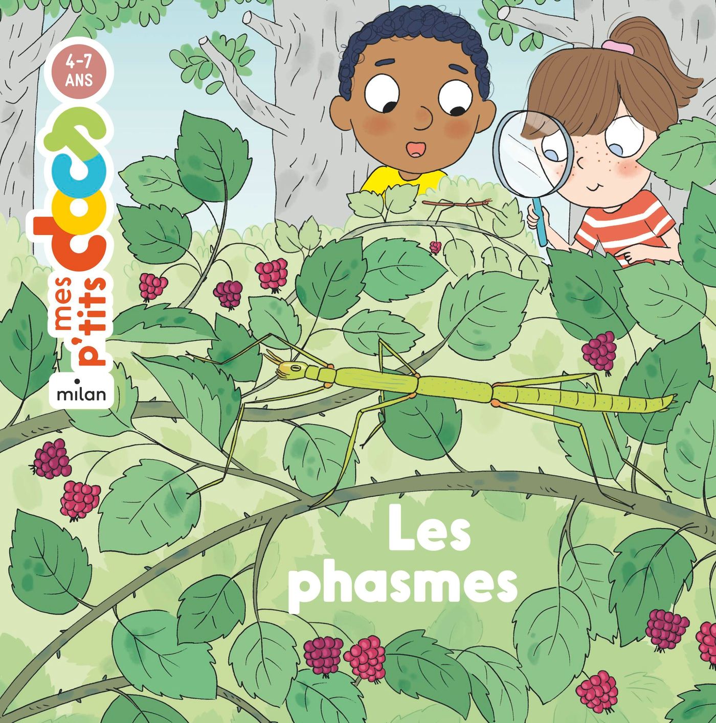 Les phasmes - Editions Milan