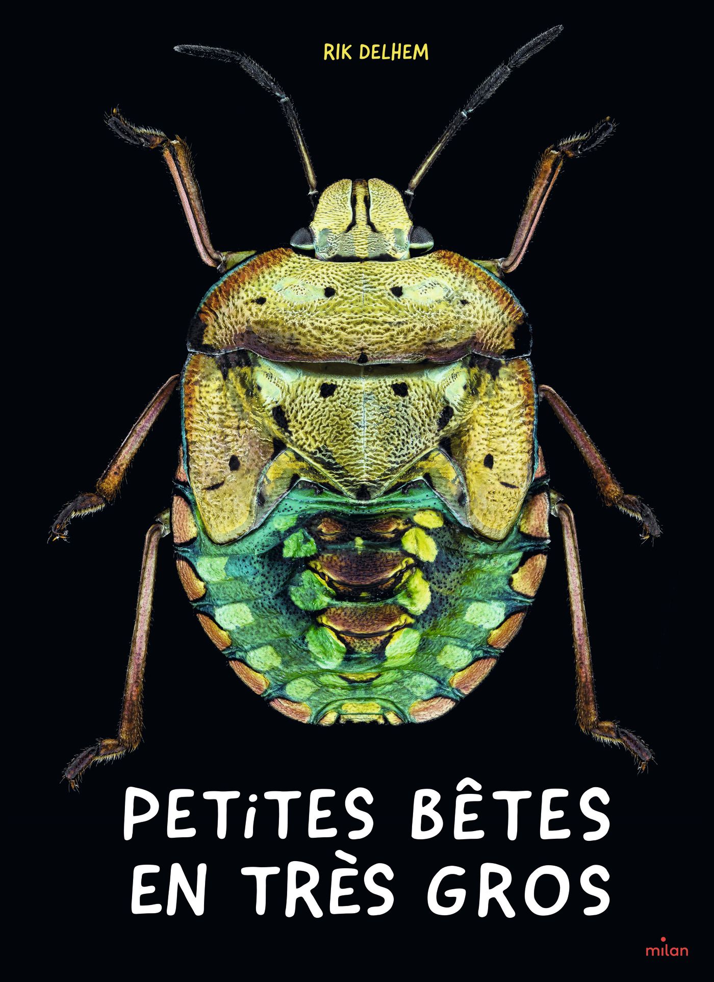Petites bêtes en très gros - Editions Milan