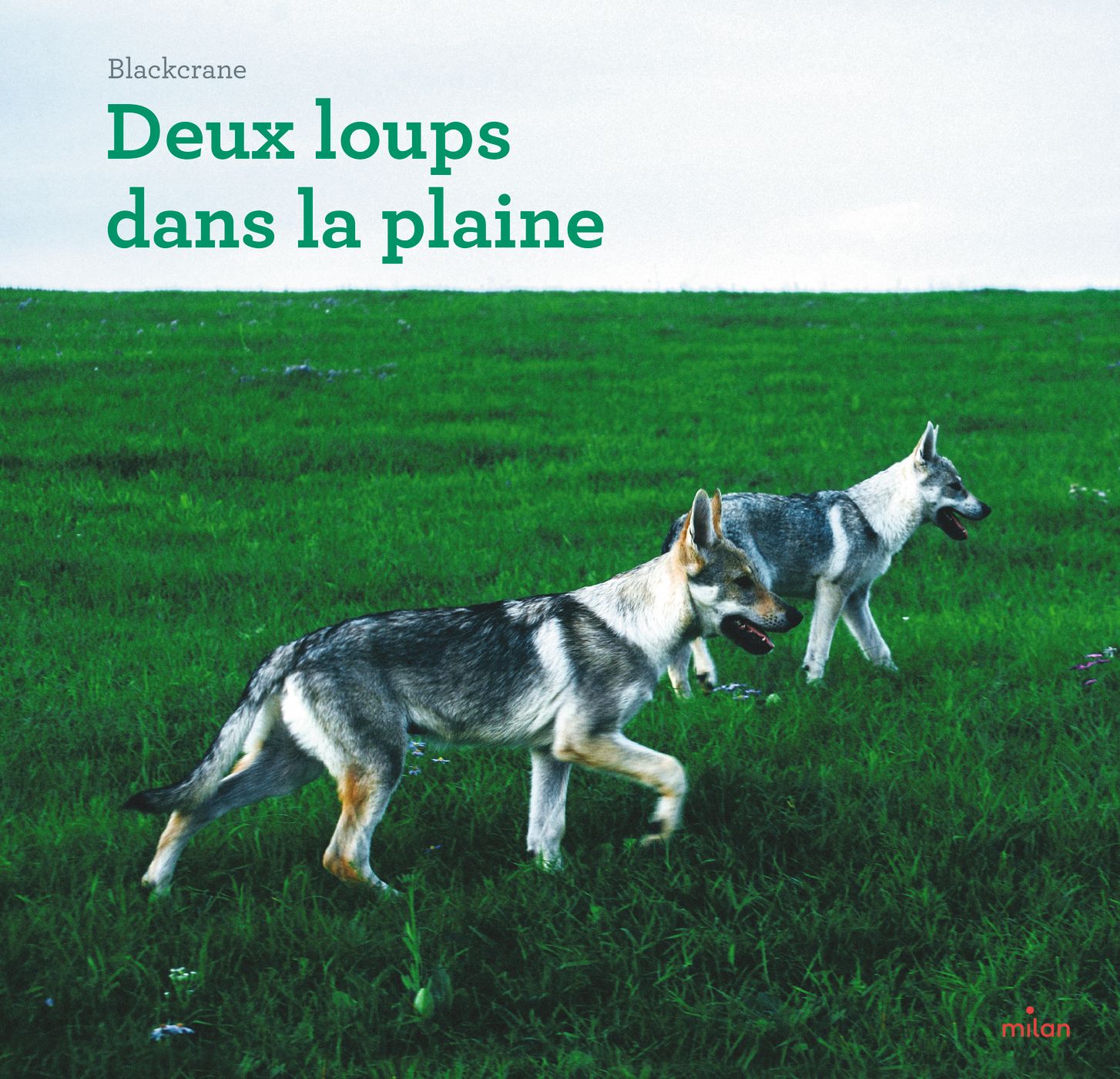 Deux loups dans la plaine - Editions Milan